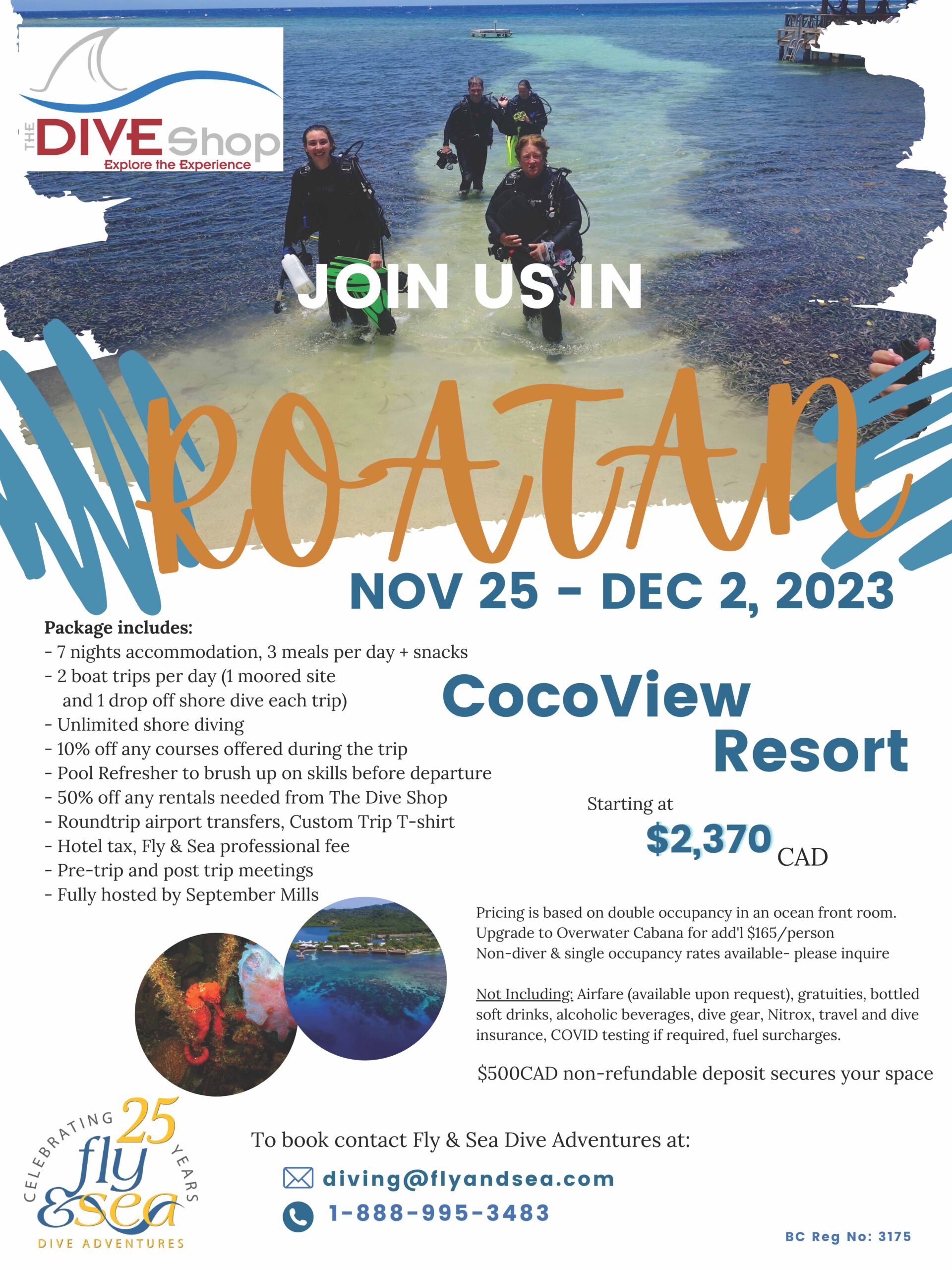 Dive Roatan 24/7! - Fly & Sea Dive Adventures