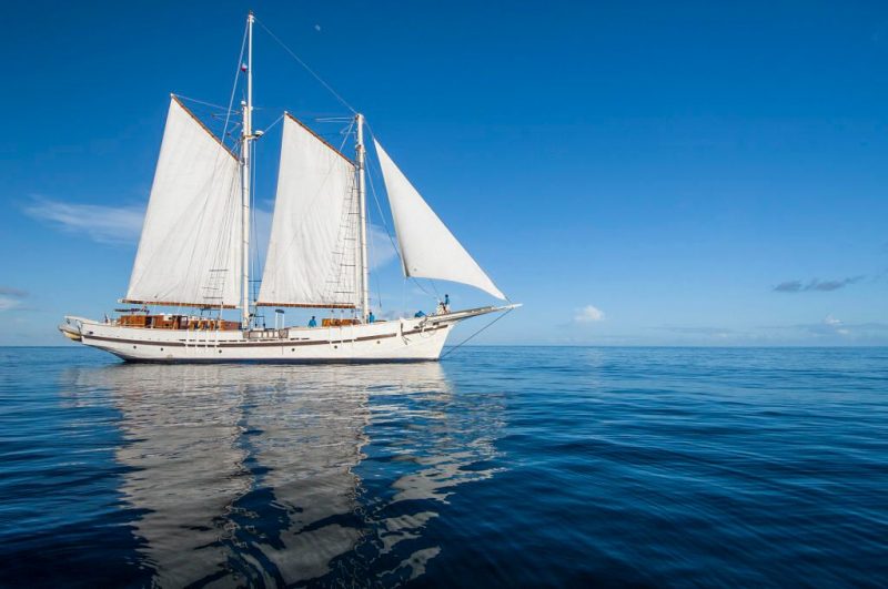 Best Indonesian Liveaboard Routes at a Glance - Fly & Sea Dive Adventures