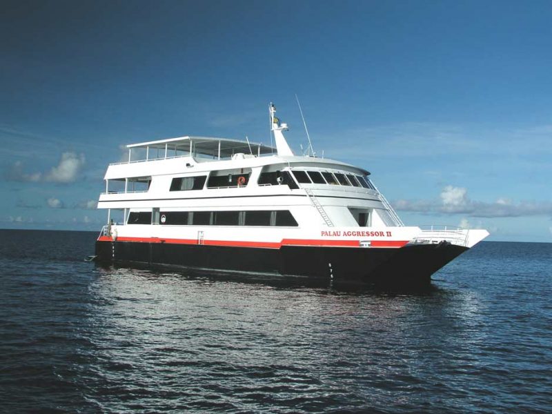 Palau - Fly & Sea Dive Adventures