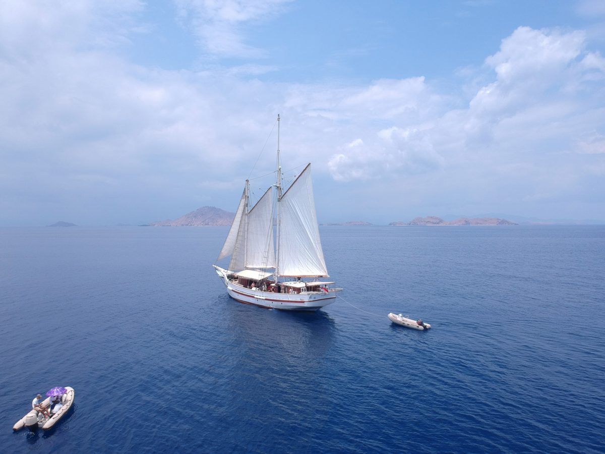 Emperor Raja Laut - Fly & Sea Dive Adventures