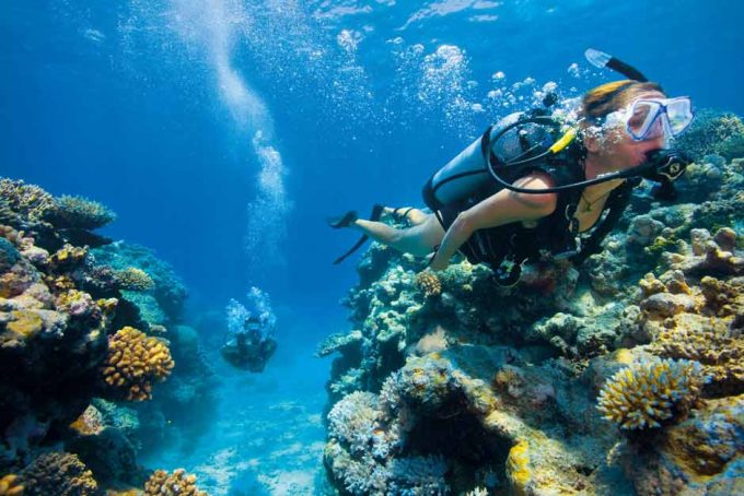 Australia - Fly & Sea Dive Adventures