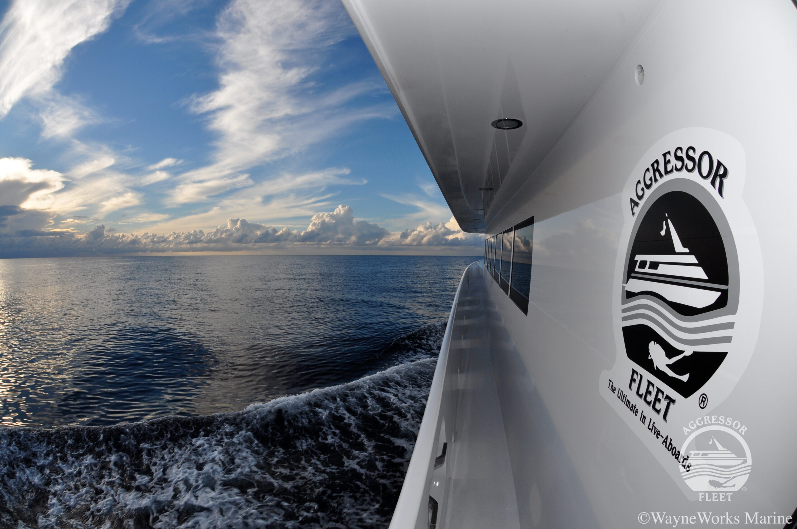 Discover Underwater Wonders with Roatan Aggressor! Week 1 - Fly & Sea ...